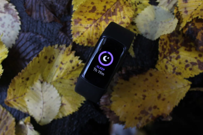 Fitbit Icons Explained - Tech Instructs